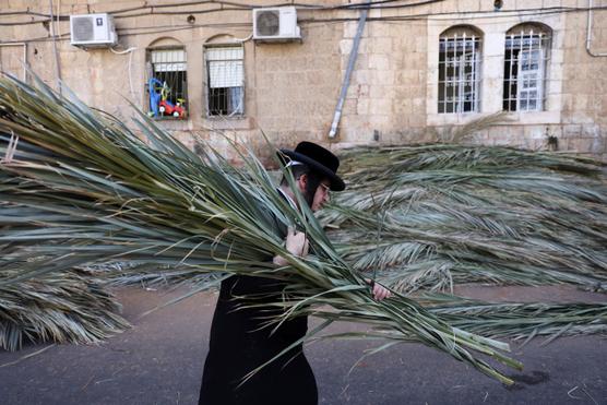 What is Sukkot, the Jewish Feast of Booths?