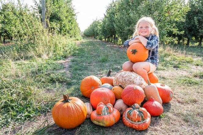 Aux champs ! Cinq cueillettes à la ferme avec les enfants autour de Paris