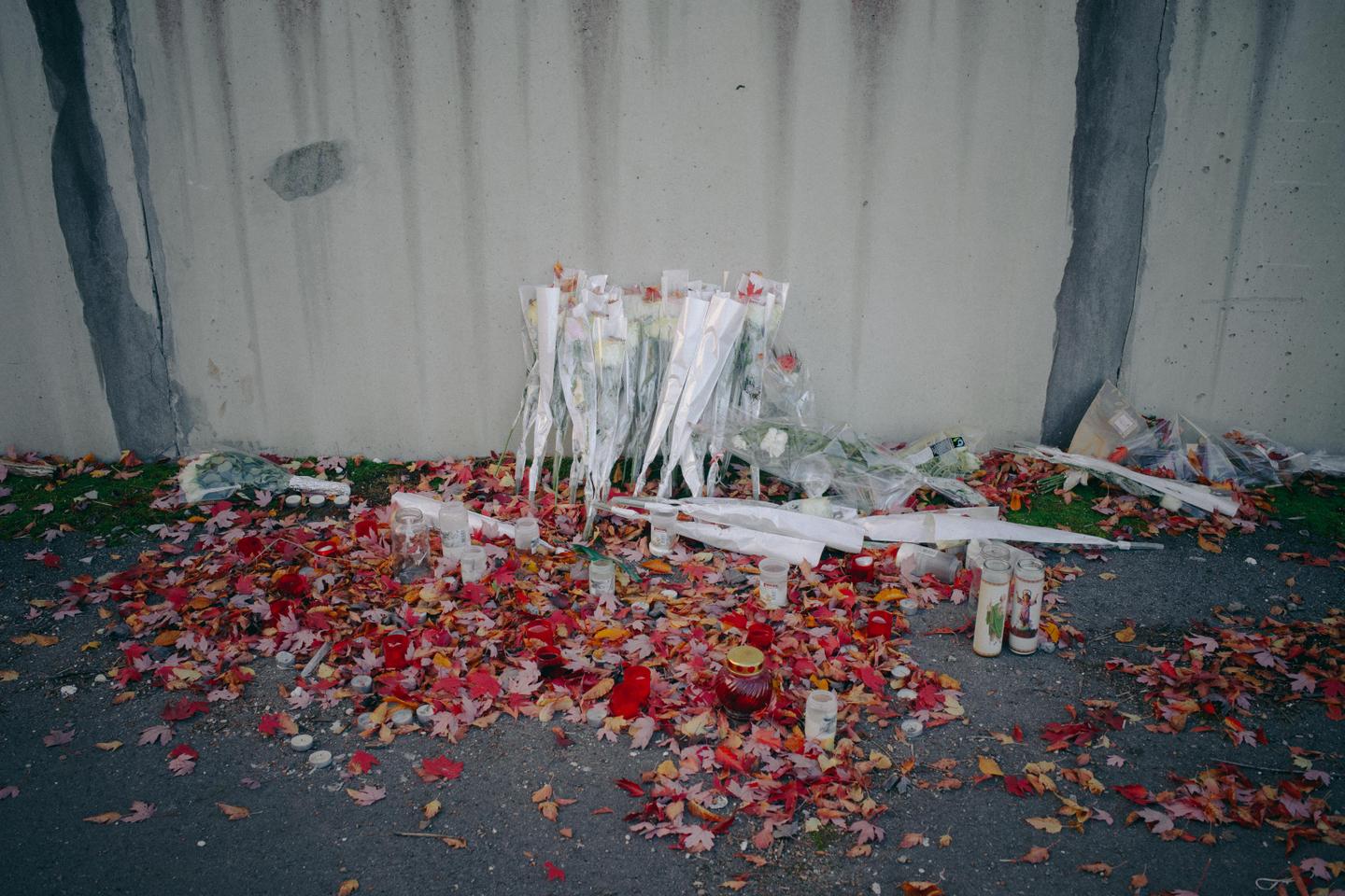 De la Meurthe-et-Moselle au Luxembourg, le corps démembré d’une femme ...