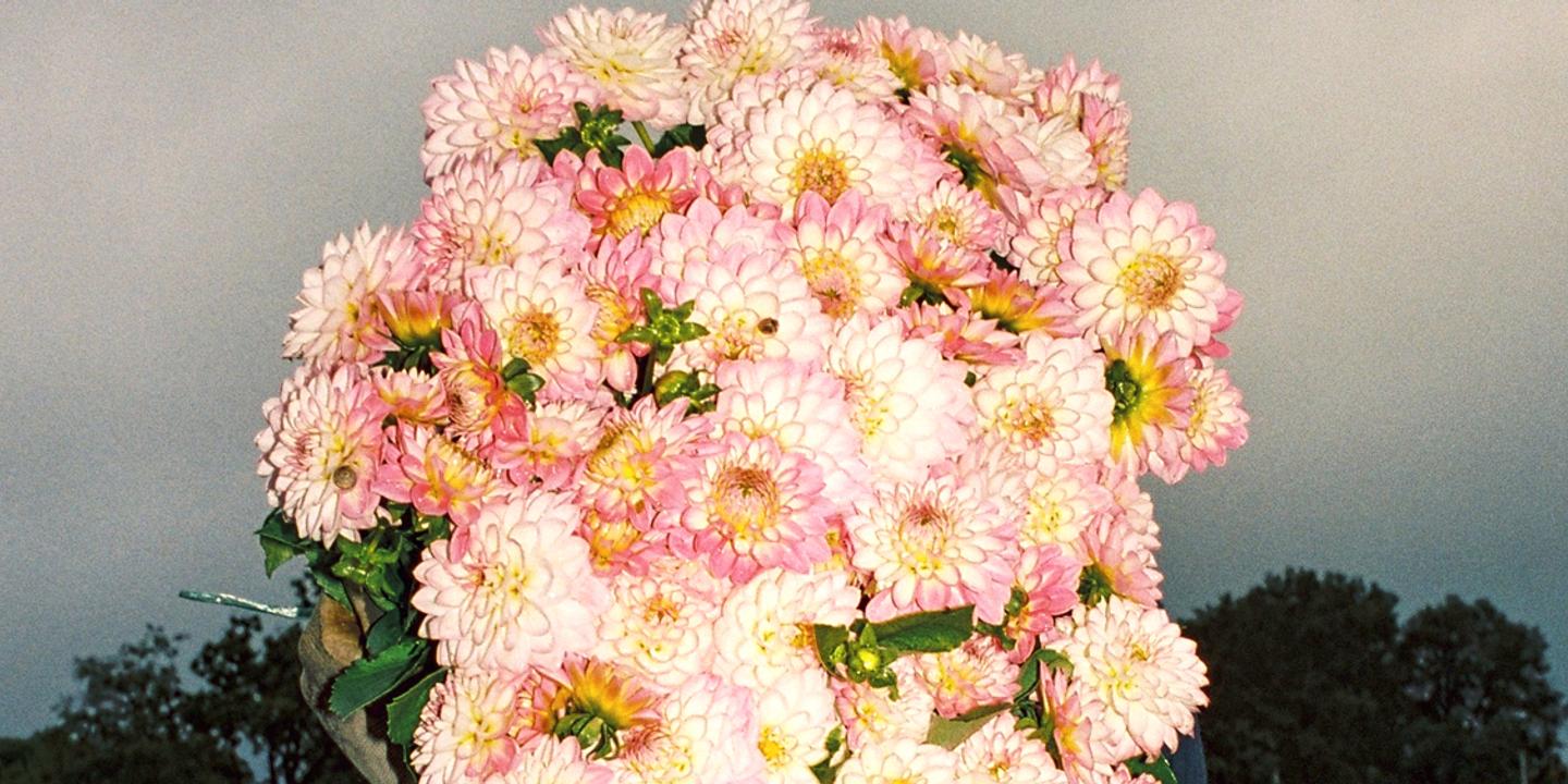 Fermiers floraux ou fleuristes-artistes, ils cassent les codes du bouquet