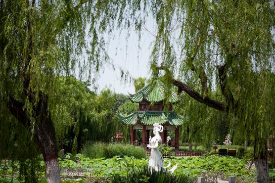 « Elles », de Yan Lianke : toutes les femmes du Henan