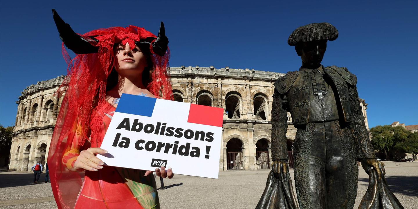 Abolition de la corrida : le texte d’Aymeric Caron rejeté en commission ...
