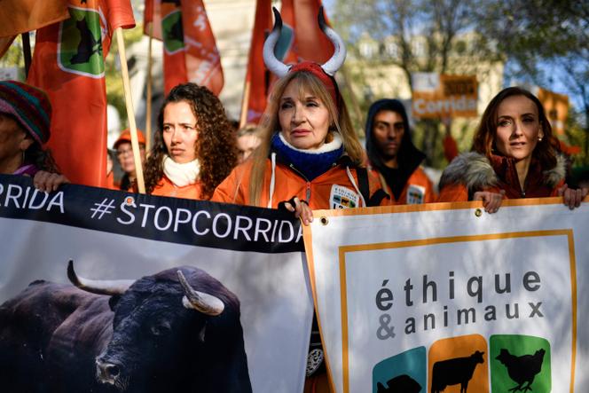 'Animal rights today demonstrates a growing democratic deficit'