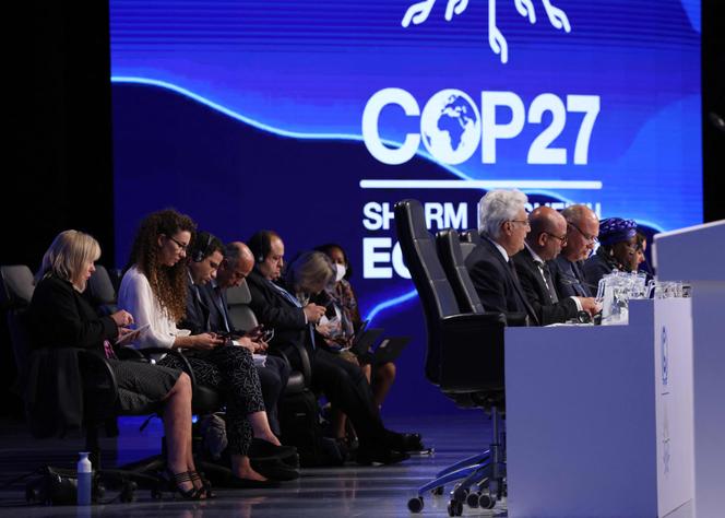 Clôture de la COP27, coup d’envoi du Mondial 2022, manifestations des pro- et anti-corrida… les ...
