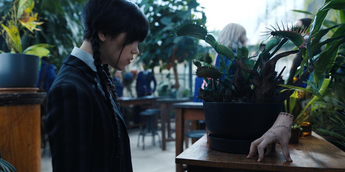 'Wednesday': The return of the Addams Family's enfant terrible