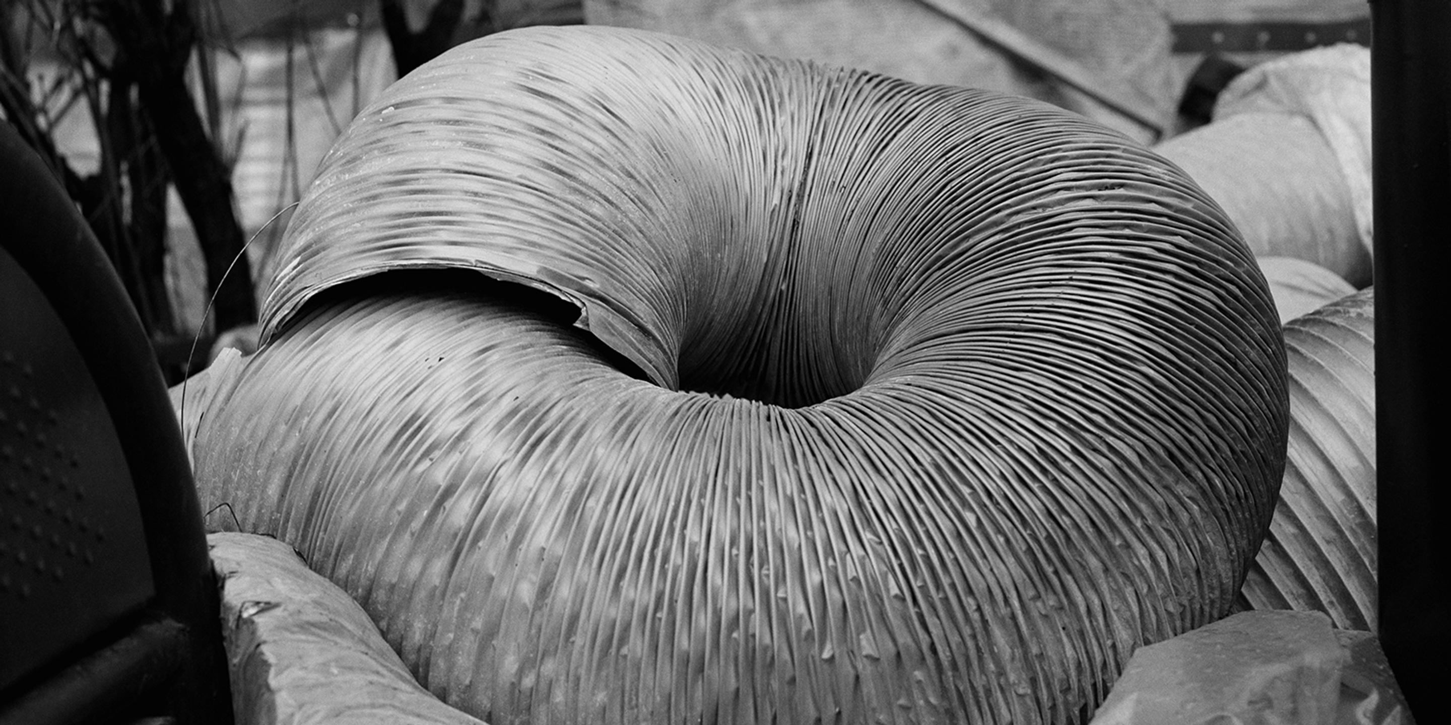 Le noir et blanc puissant des photos de Tom Sandberg