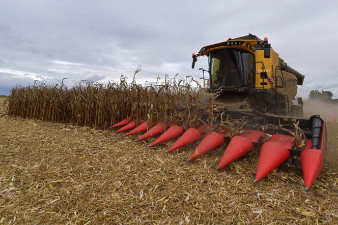 2022 saw unprecedented growth for French agriculture