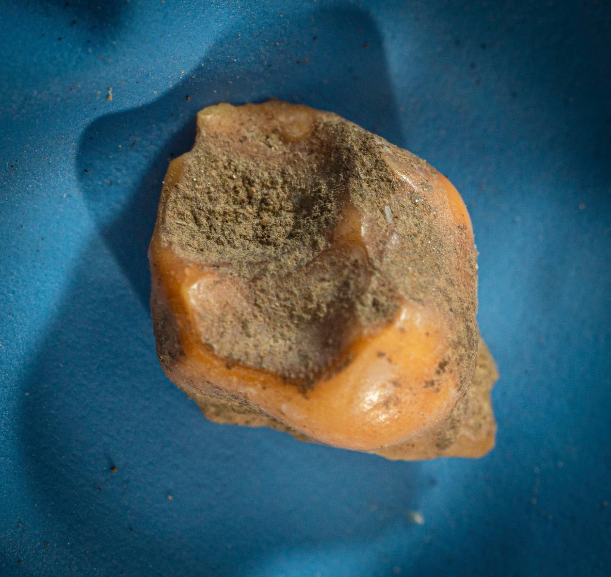 Les temps forts de l’actualité scientifique et médicale de 2022