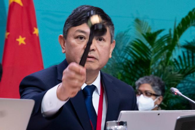 COP15: How China managed to get countries to agree