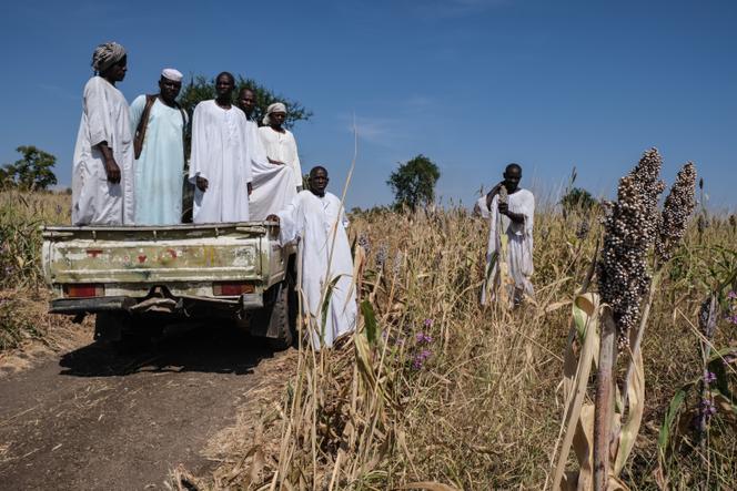 The al-Fashaga triangle, a powder keg on the Sudanese-Ethiopian border