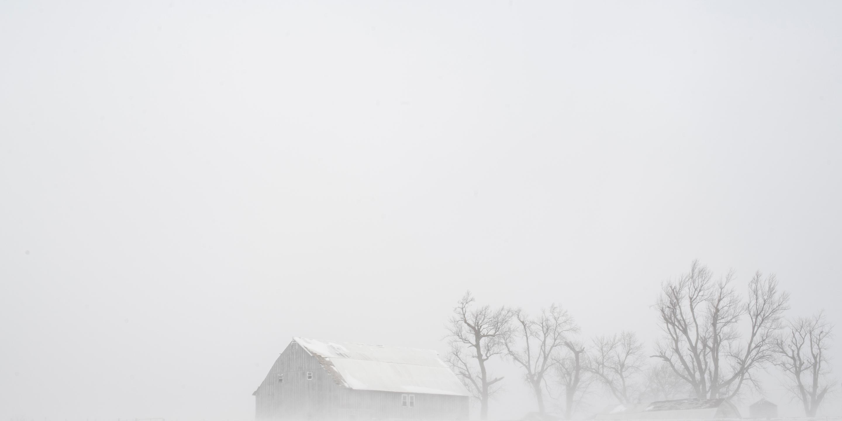 Aux Etats-Unis, un froid sibérien empêche les Américains de célébrer le ...