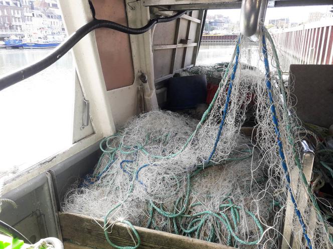 Biosourced and biodegradable fishing nets could help avoid a ...