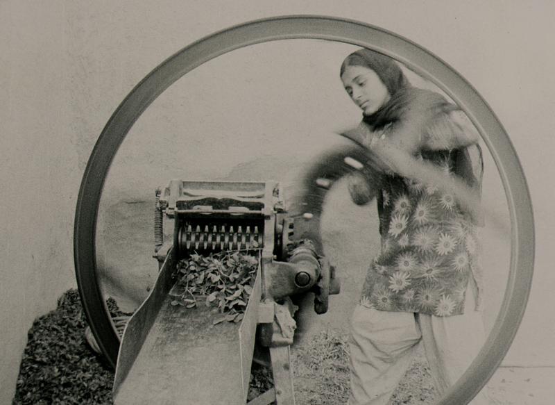 D’« Uski Roti » à « Nazar » : Mani Kaul, l’inventeur de formes de la ...