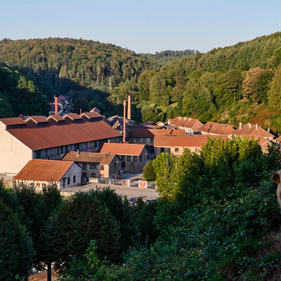 french industrialisation