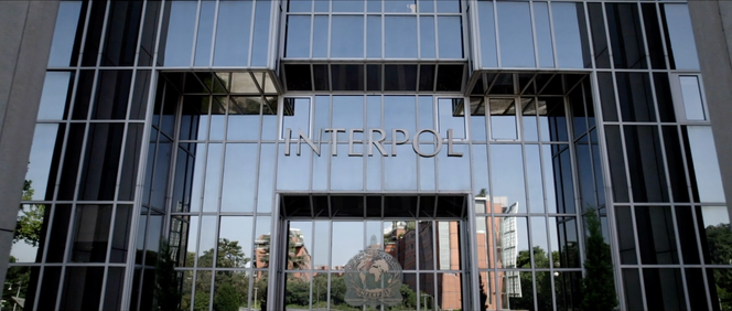 « Planet Killers », sur France 5 : comment Interpol traque les écocidaires