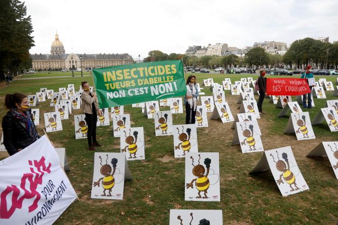 Reauthorizing 'bee-killing' neonicotinoids: France's strategy ruled illegal