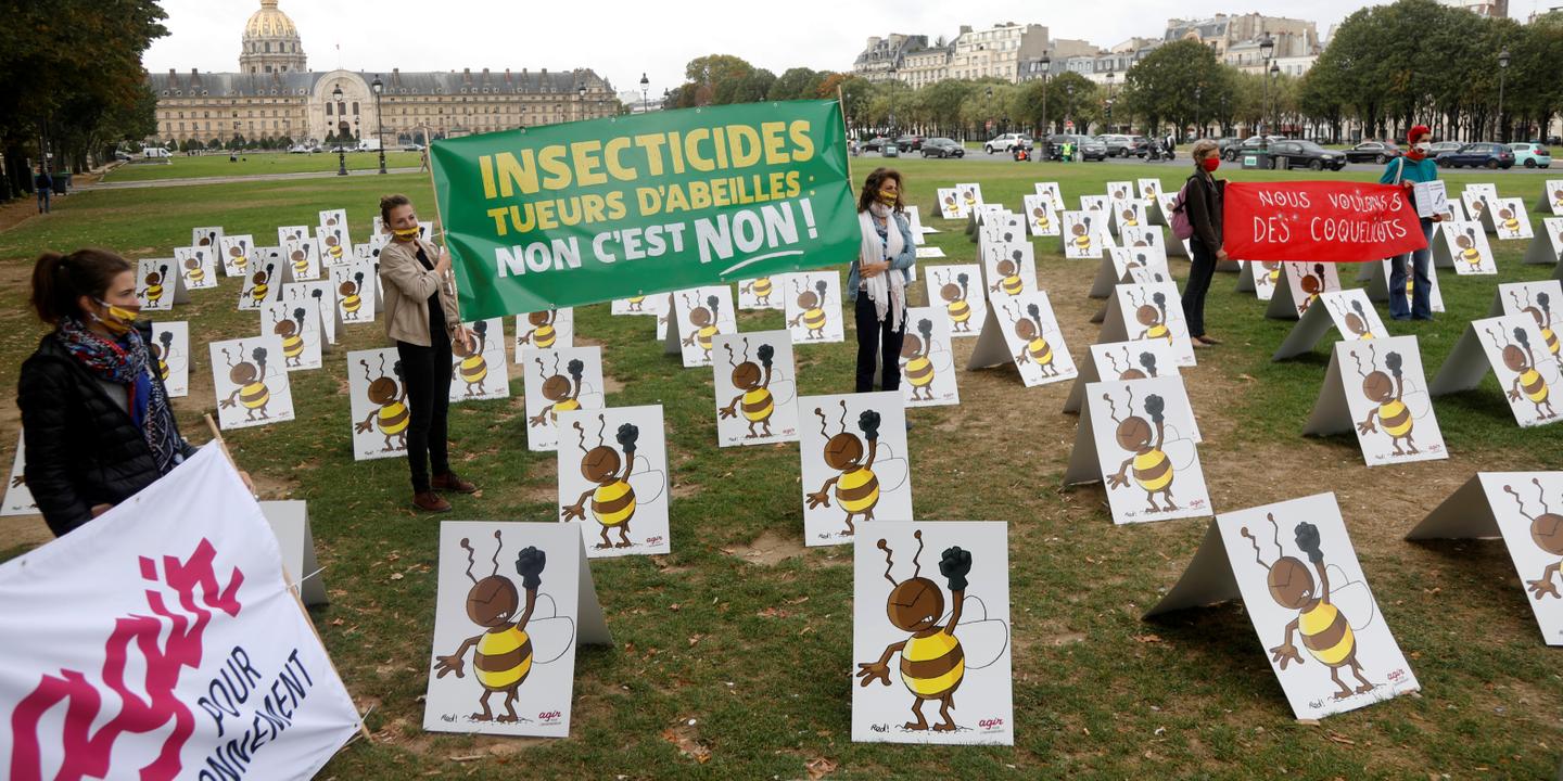 Reauthorizing 'bee-killing' neonicotinoids: France's strategy ruled illegal