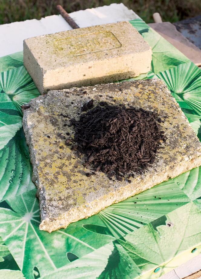 Le sac de compost, une alchimie domestique