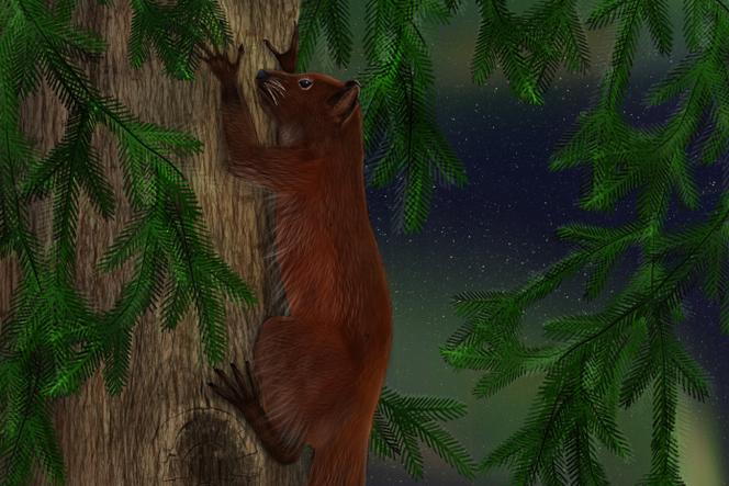 Pre-primates lived in Canada some 52 million years ago