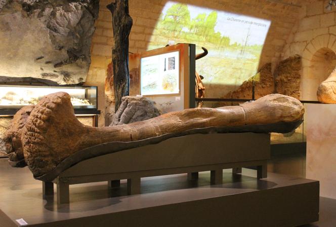 Que faire à Angoulême en 48 heures