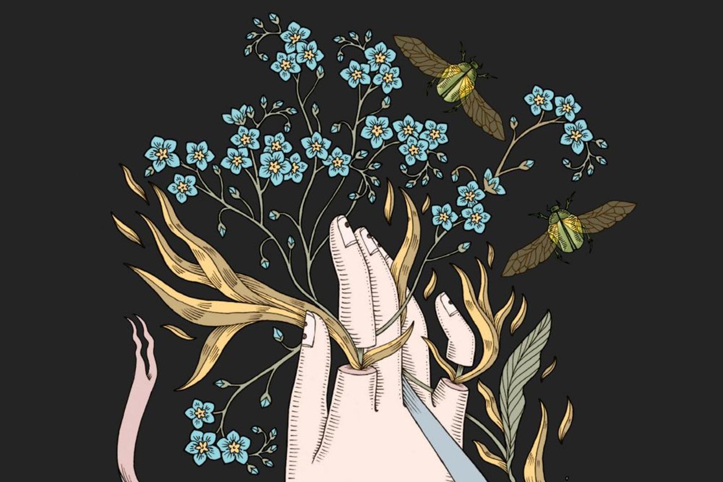 Chico Buarque, Constance Debré, Didier Decoin, Mansoura Ez-Eldin… Les ...