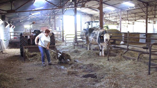 « L’Amour vache », sur France.tv : Edouard Bergeon filme un couple d ...
