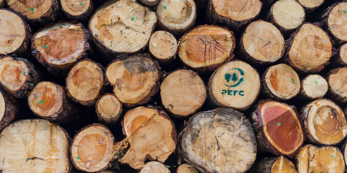 Investigation reveals flaws in 'responsible' wood certification system