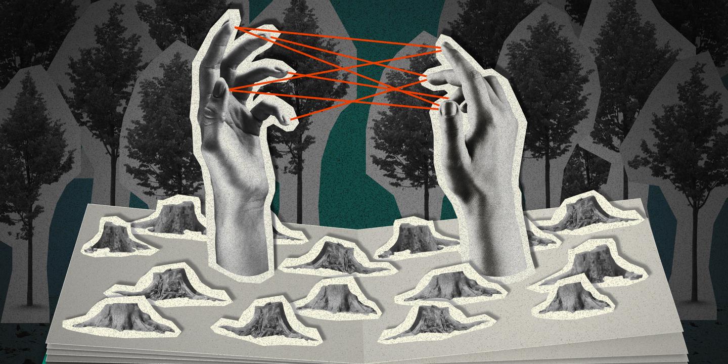 How two intertwined companies dominate the paper market