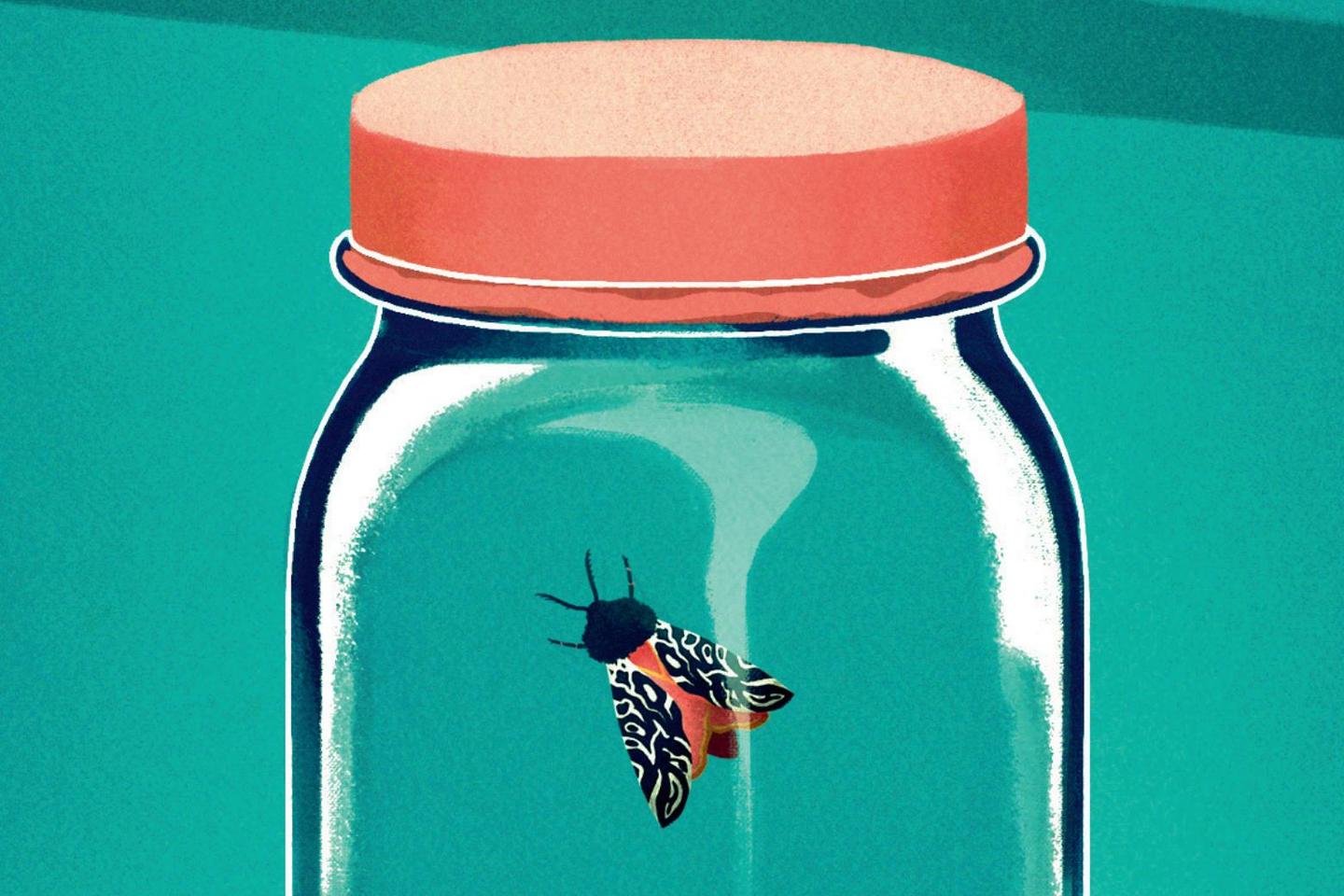 Emmanuelle Heidsieck, Valéry Lébédinski, Hélène Ling, David Thomas… Les ...