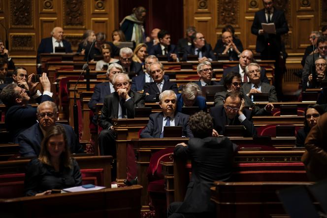 French pension reform: Senators vote to raise retirement age from 62 to 64