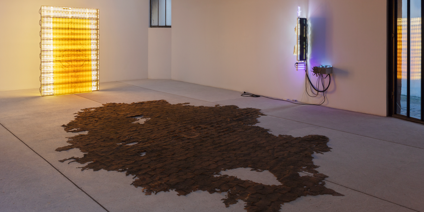 Sélection galerie : Chloé Delarue chez Frank Elbaz