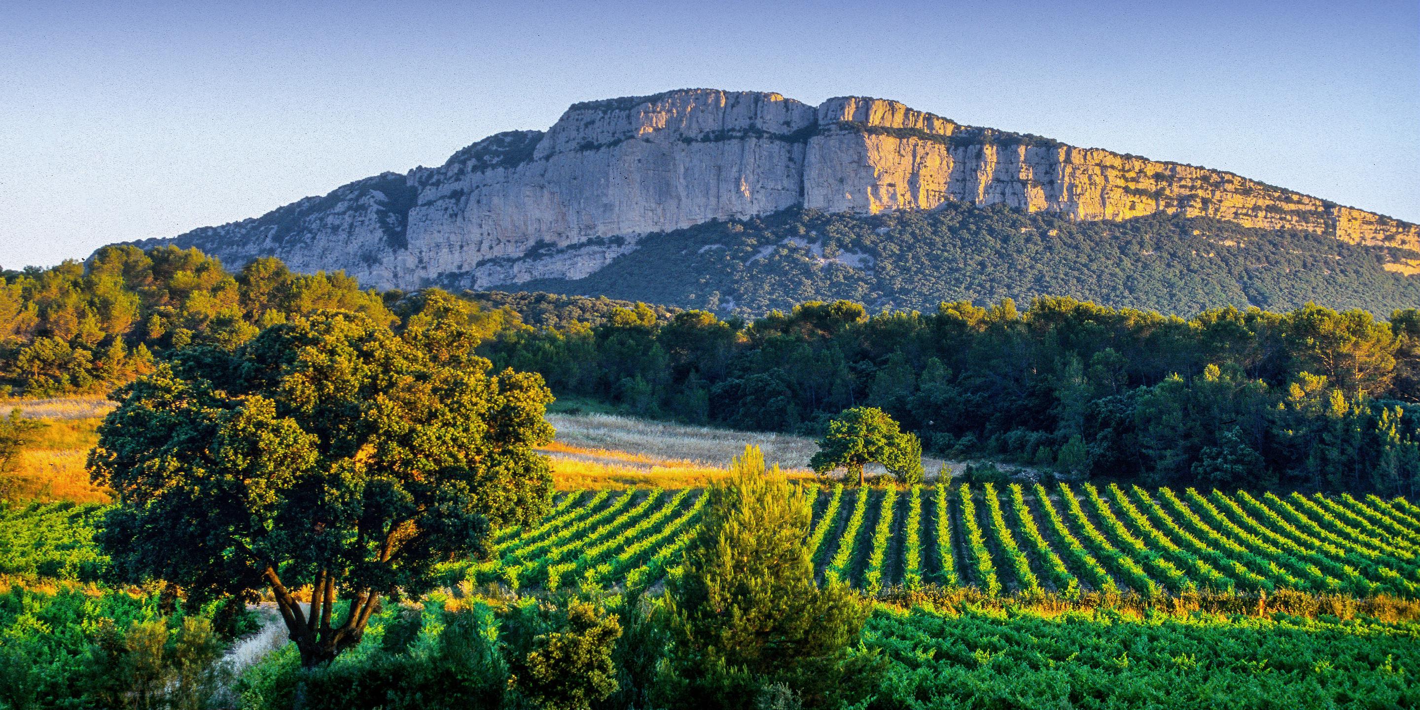 Pic Saint-Loup, l’Hérault vu d’en haut