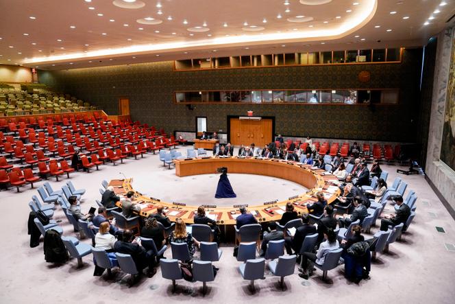 Russia's UN Security Council presidency 'a slap in the face': Ukraine