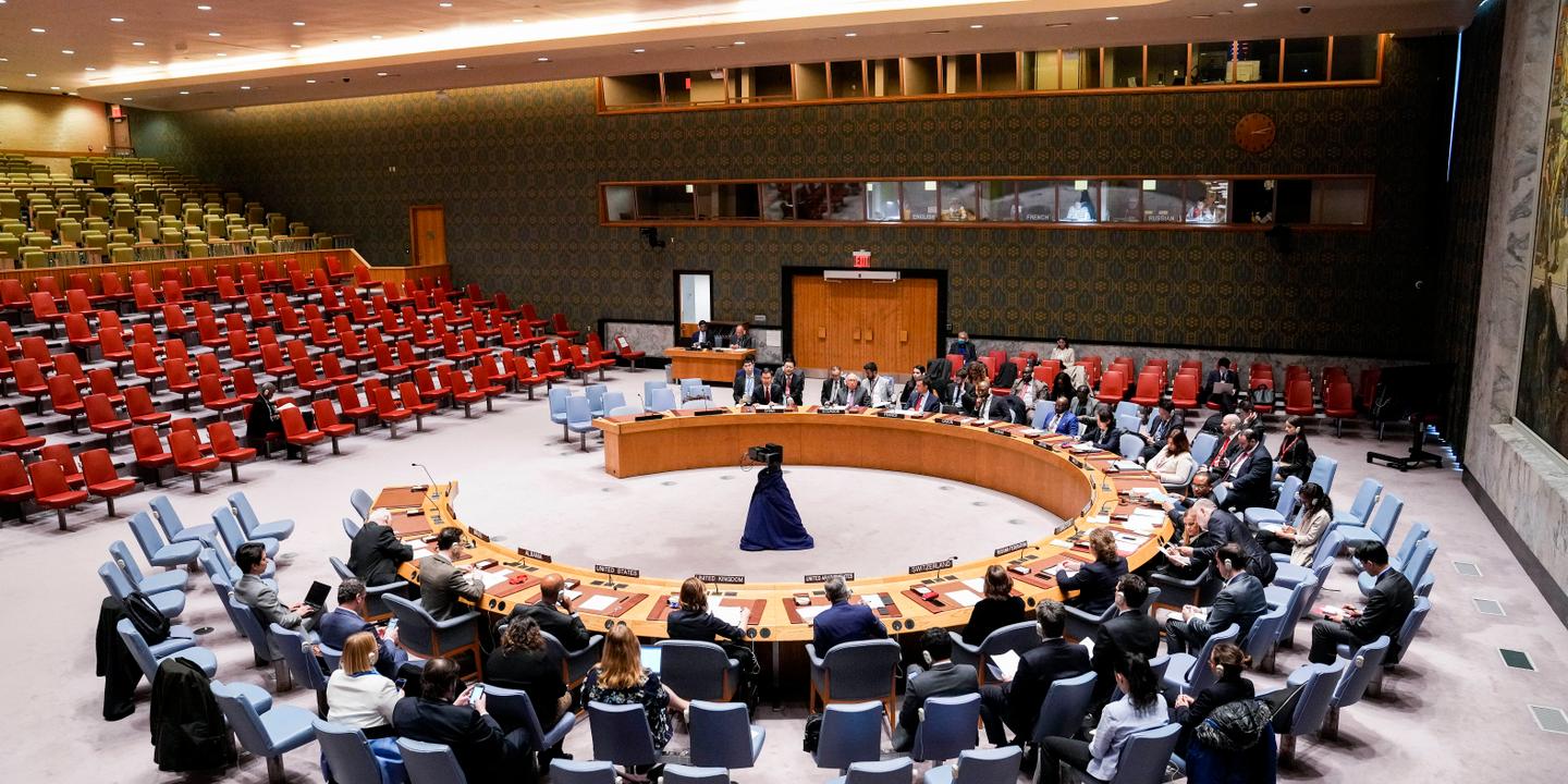 Russia's UN Security Council presidency 'a slap in the face': Ukraine
