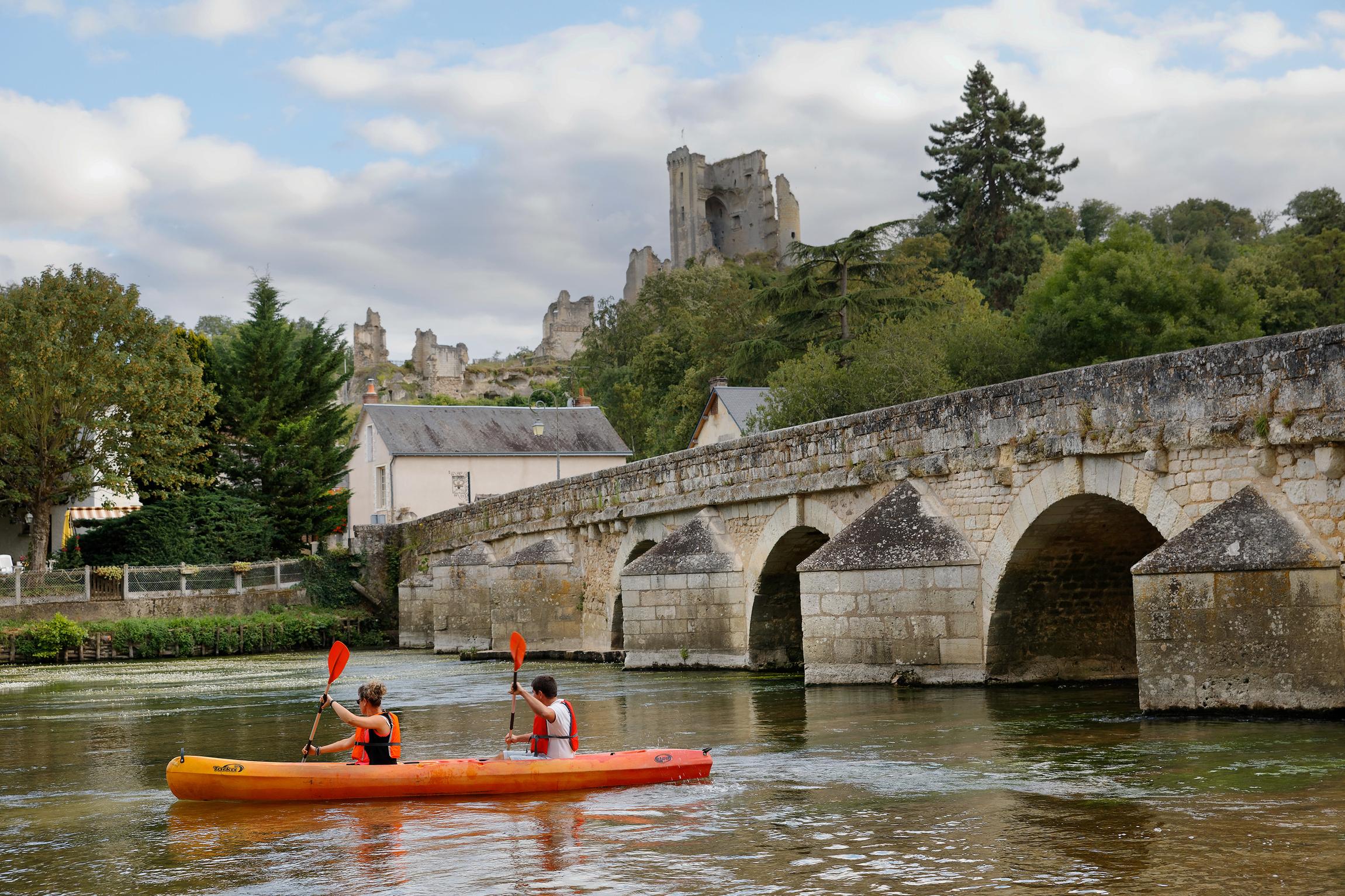 Le Loir à livre ouvert
