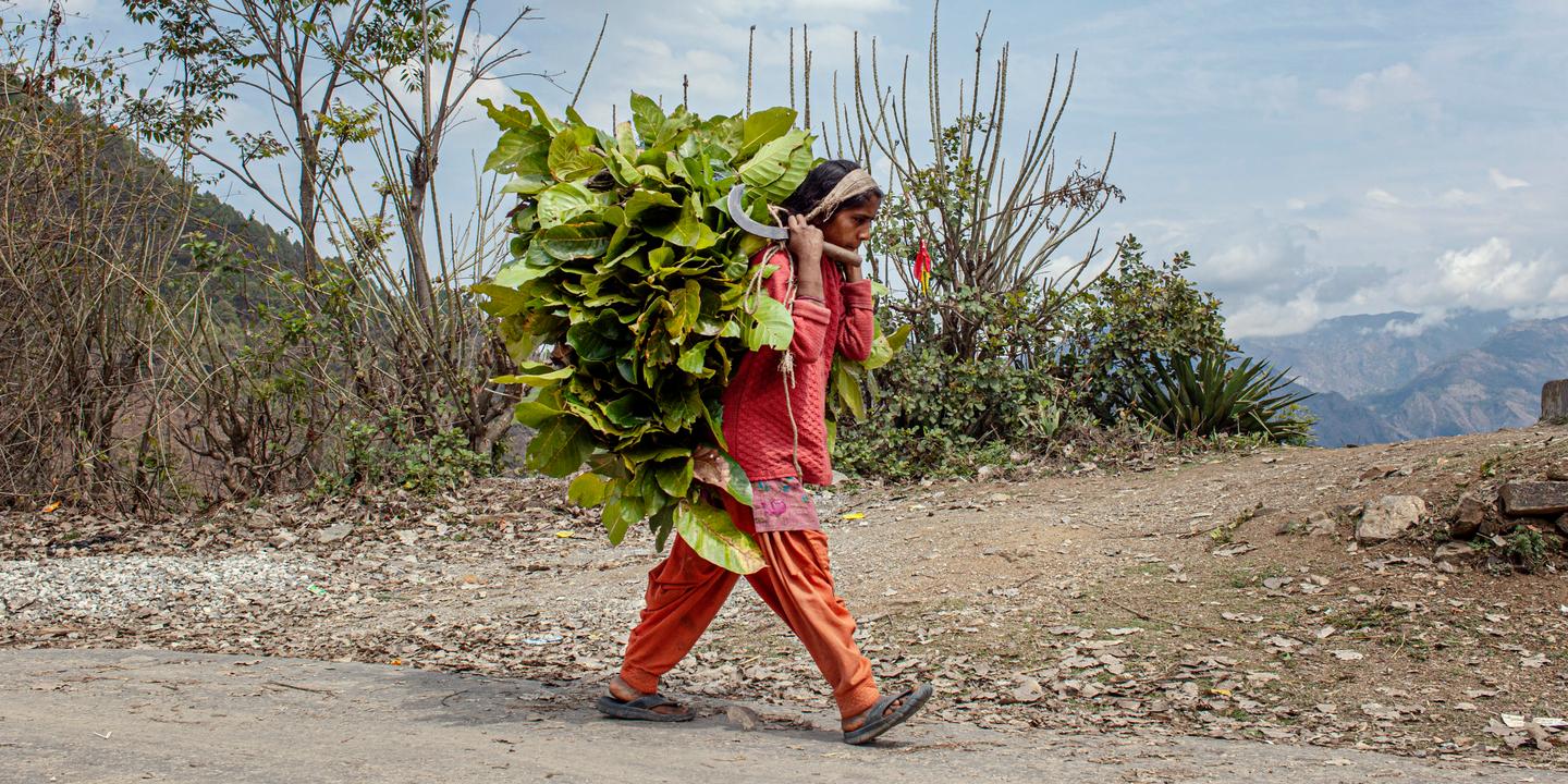 The forgotten villages of India: 'Sail is a remote place, very poor ...