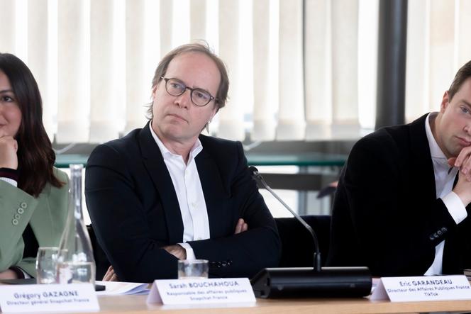 Eric Garandeau, TikTok's cultural influence agent in France