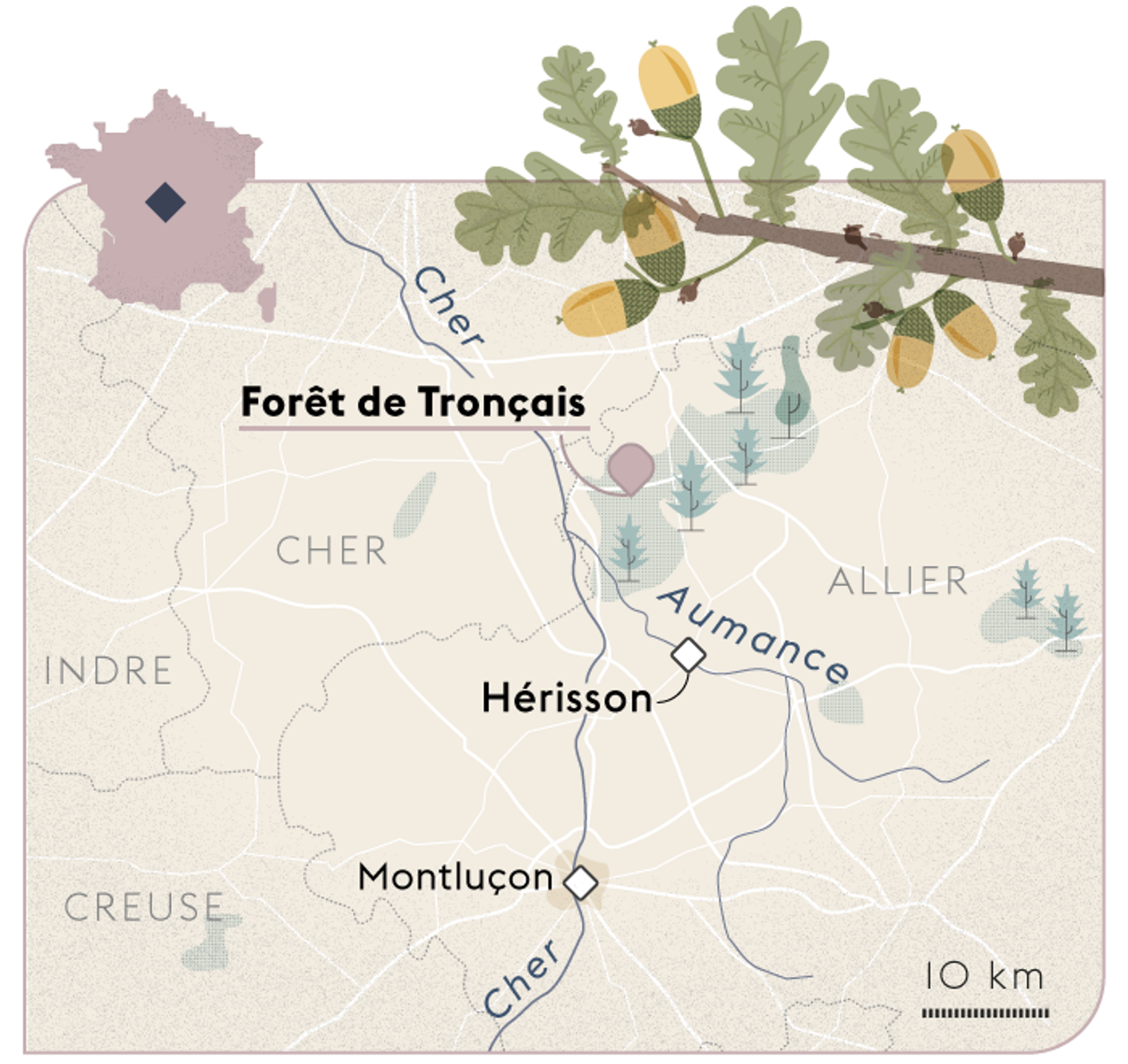 De Hérisson à Tronçais, château perché et forêt classée