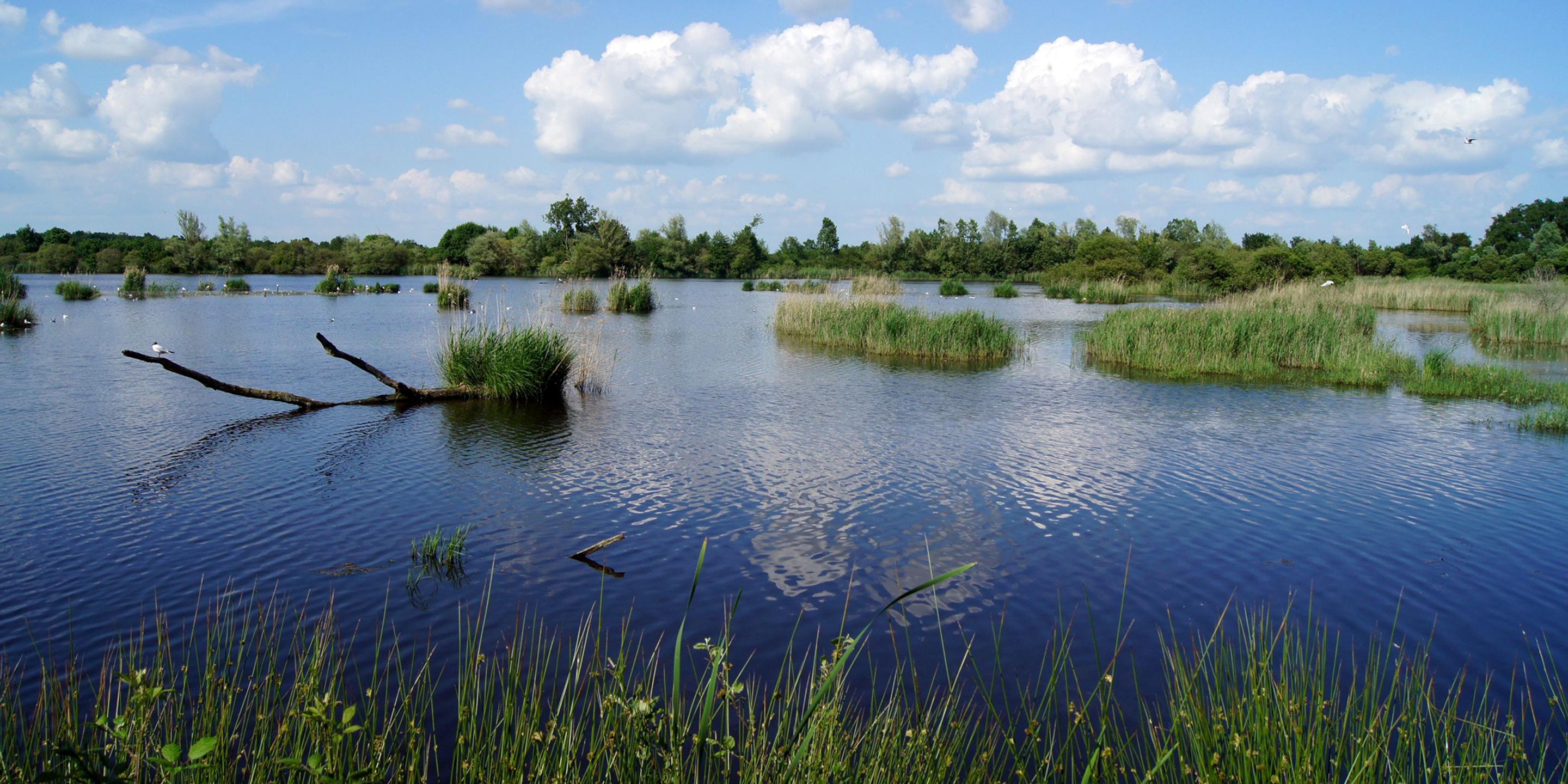 Les étangs de la Brenne, rendez-vous en terre méconnue
