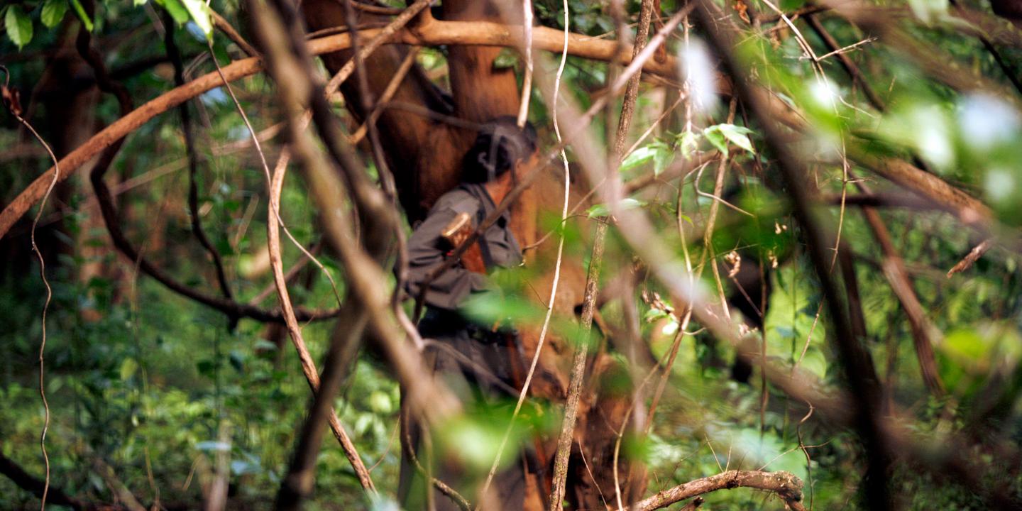 On the trail of India's last Maoist rebels
