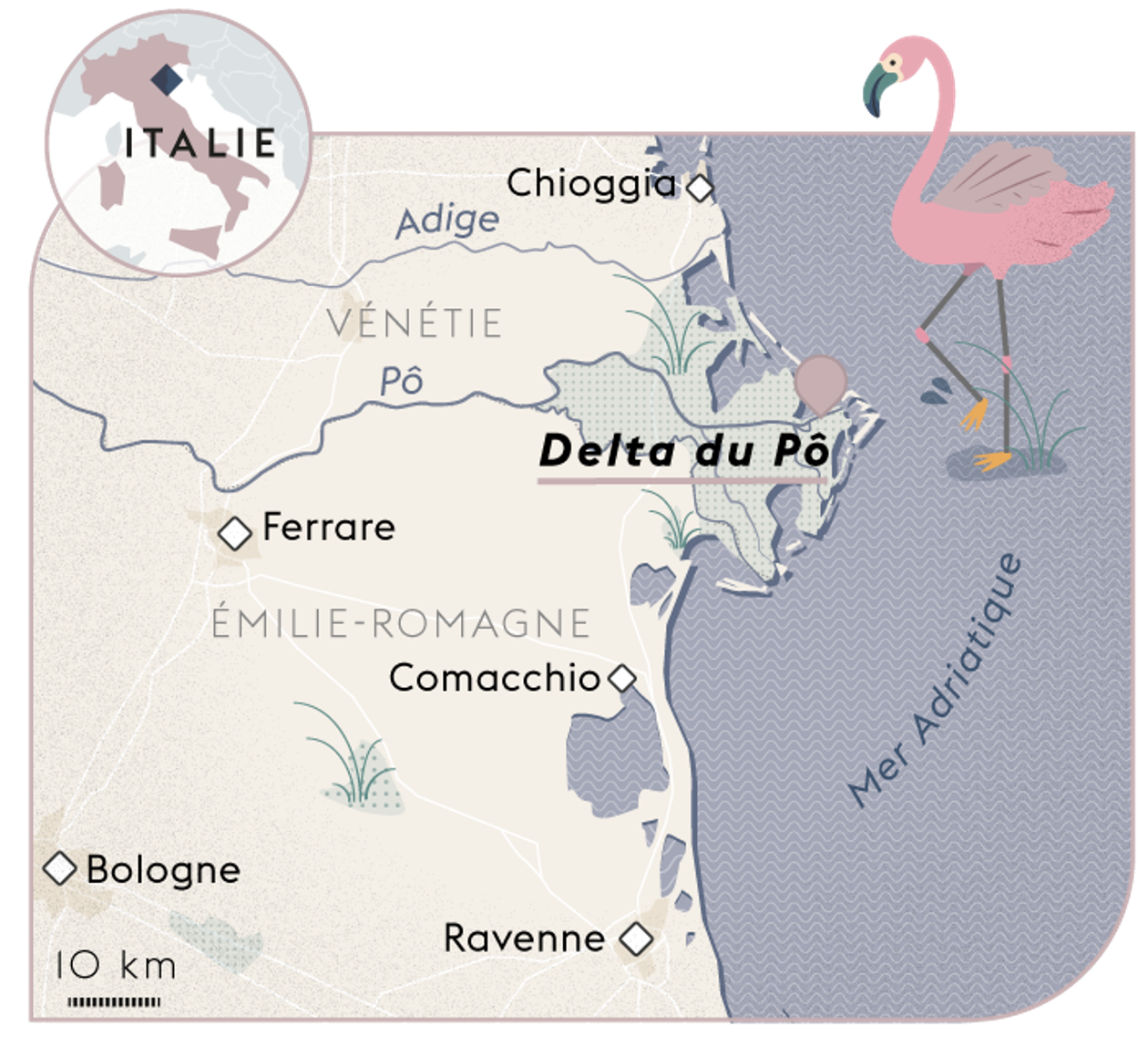 Le delta du Pô, paradis des oiseaux