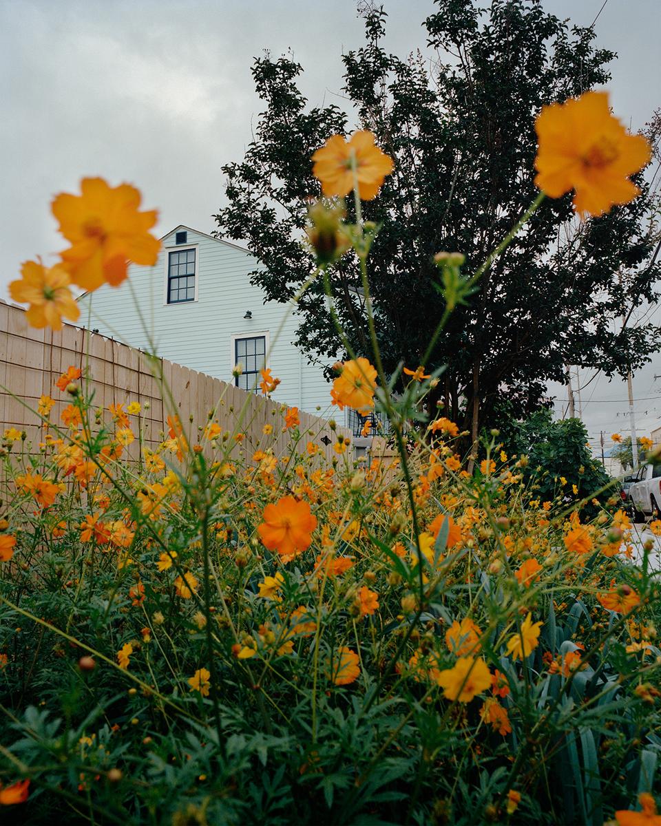 Jeux d’été en Louisiane de Vasantha Yogananthan : « Dans ce projet, je ...
