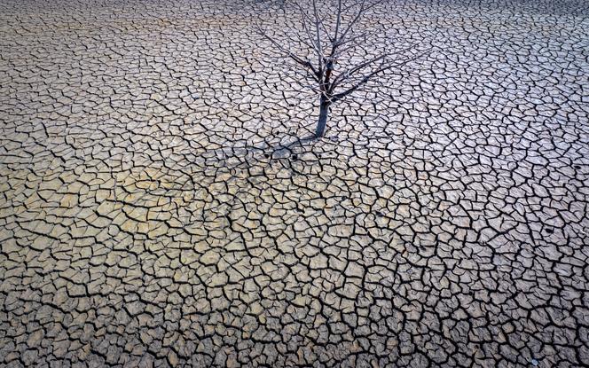 Drought in Spain: 'If water management doesn't change, the country will ...