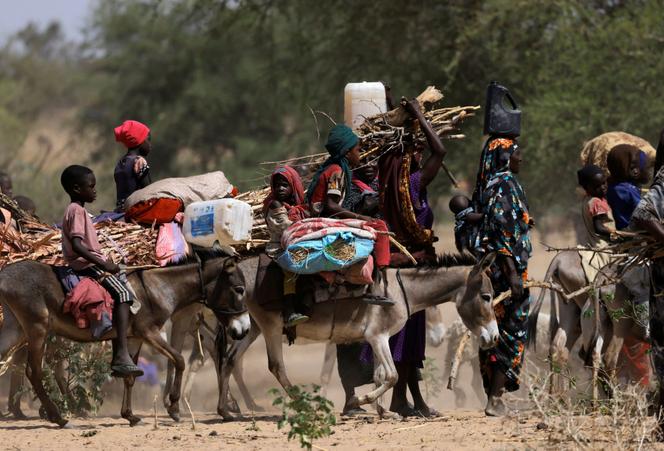 Darfur's endless cycle of suffering