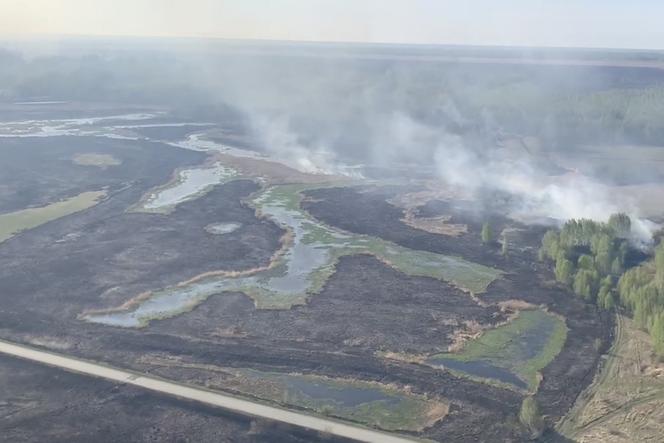 Russia: Forest fires break out in Siberia amid heatwave