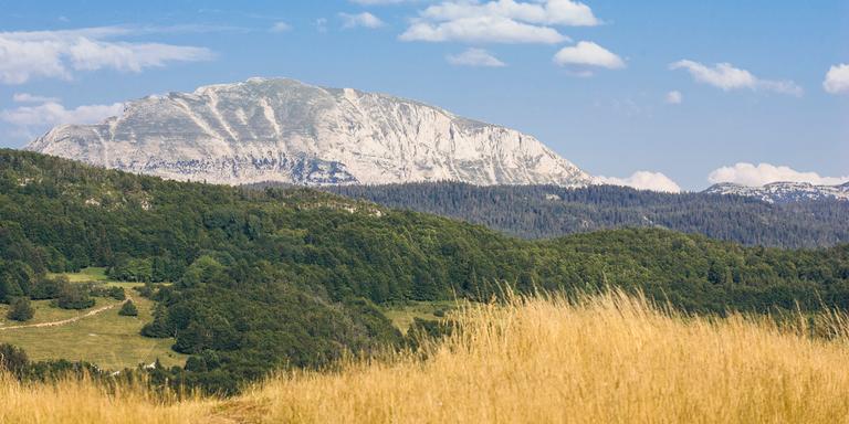 Le Vercors, terre de Résistance