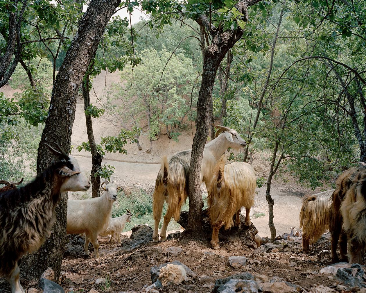 Turkish elections: The rebel mountains of Dersim and the remarkable ...