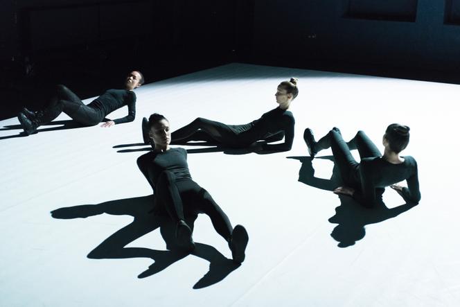 Les Rencontres chorégraphiques internationales de Seine-Saint-Denis ...