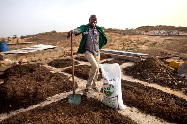 Face à la pénurie d’engrais chimiques, le Sénégal promeut des ...