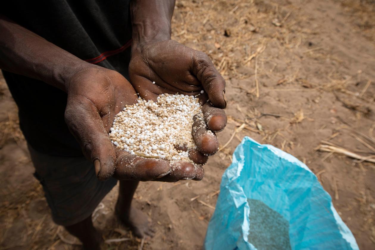 Face à la pénurie d’engrais chimiques, le Sénégal promeut des ...